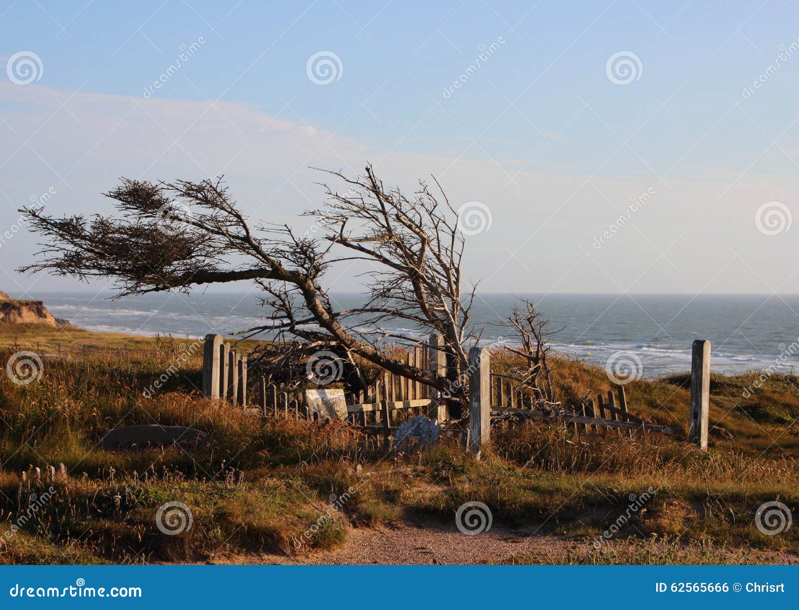 Grave at Edge of Cliff with Ocean Background Stock Photo - Image of ...