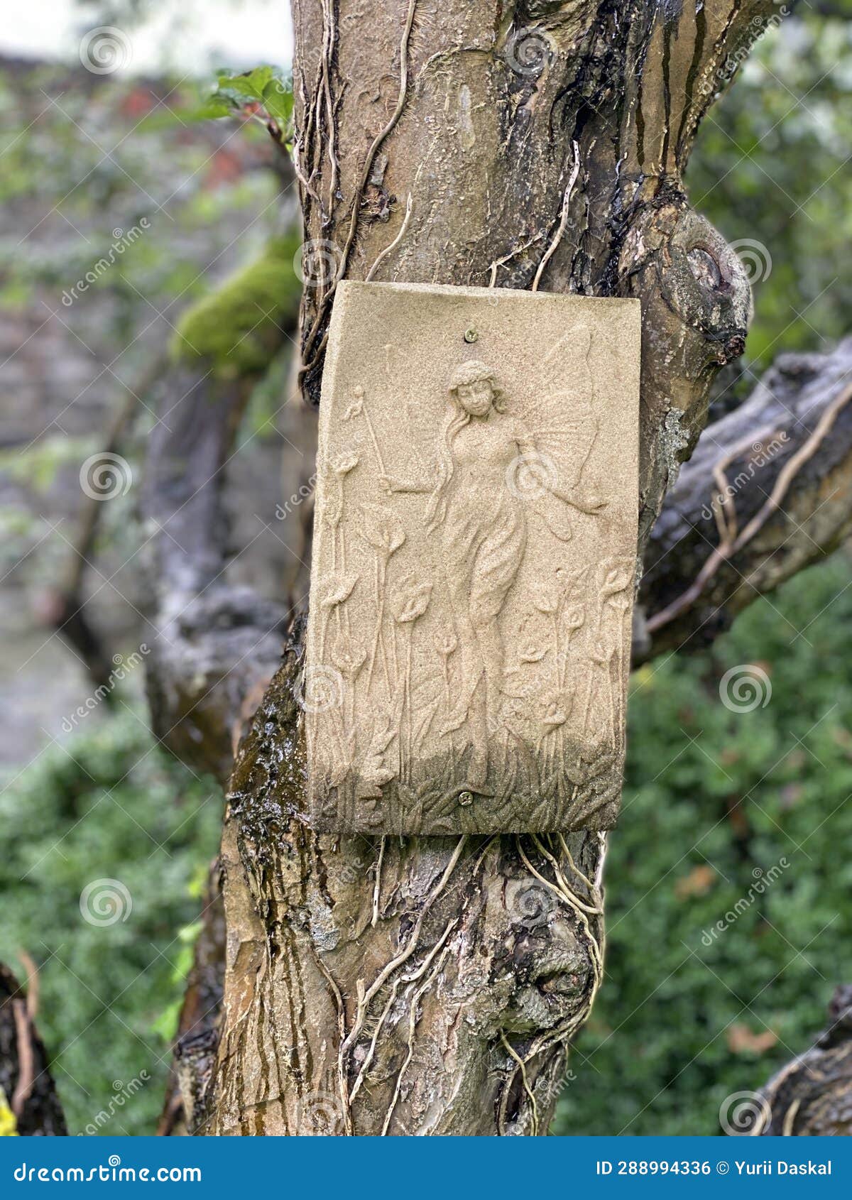Picture of an Elf in the Garden Stock Photo - Image of green, garden ...