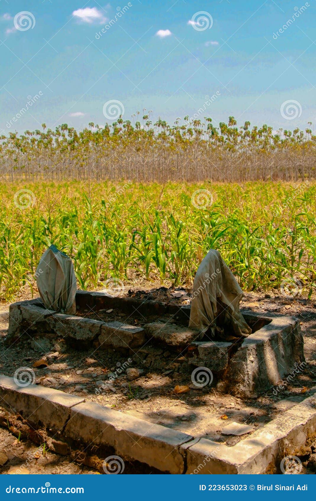 A Grave in the Field stock image. Image of soil, green - 223653023