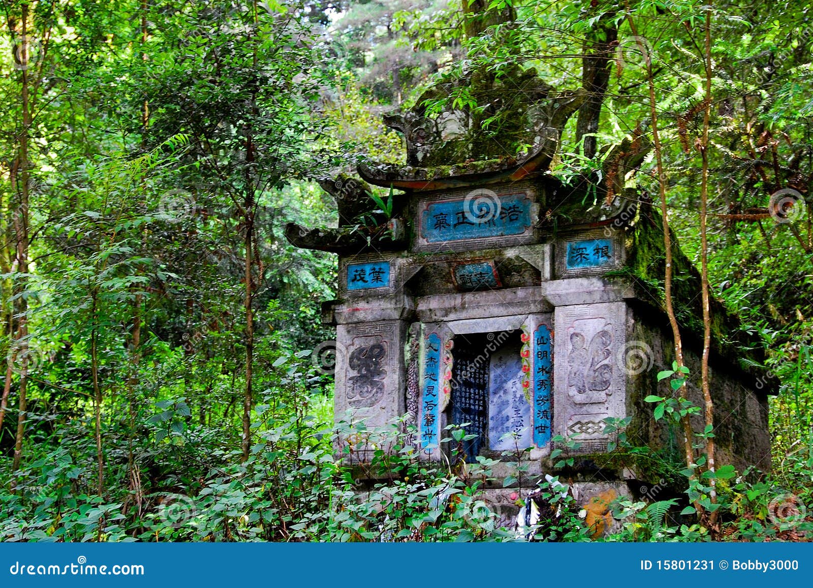 Grave in the forest stock image. Image of travel, asia - 15801231