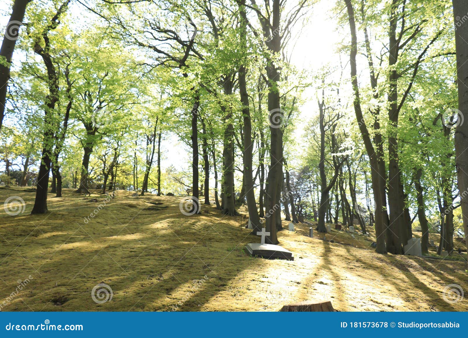 Grave in a forest cemetery stock photo. Image of nature - 181573678