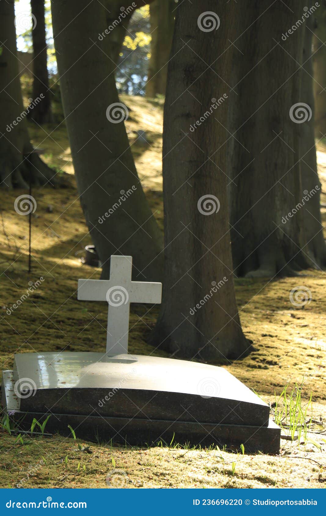 Grave in a forest cemetery stock photo. Image of peace - 236696220