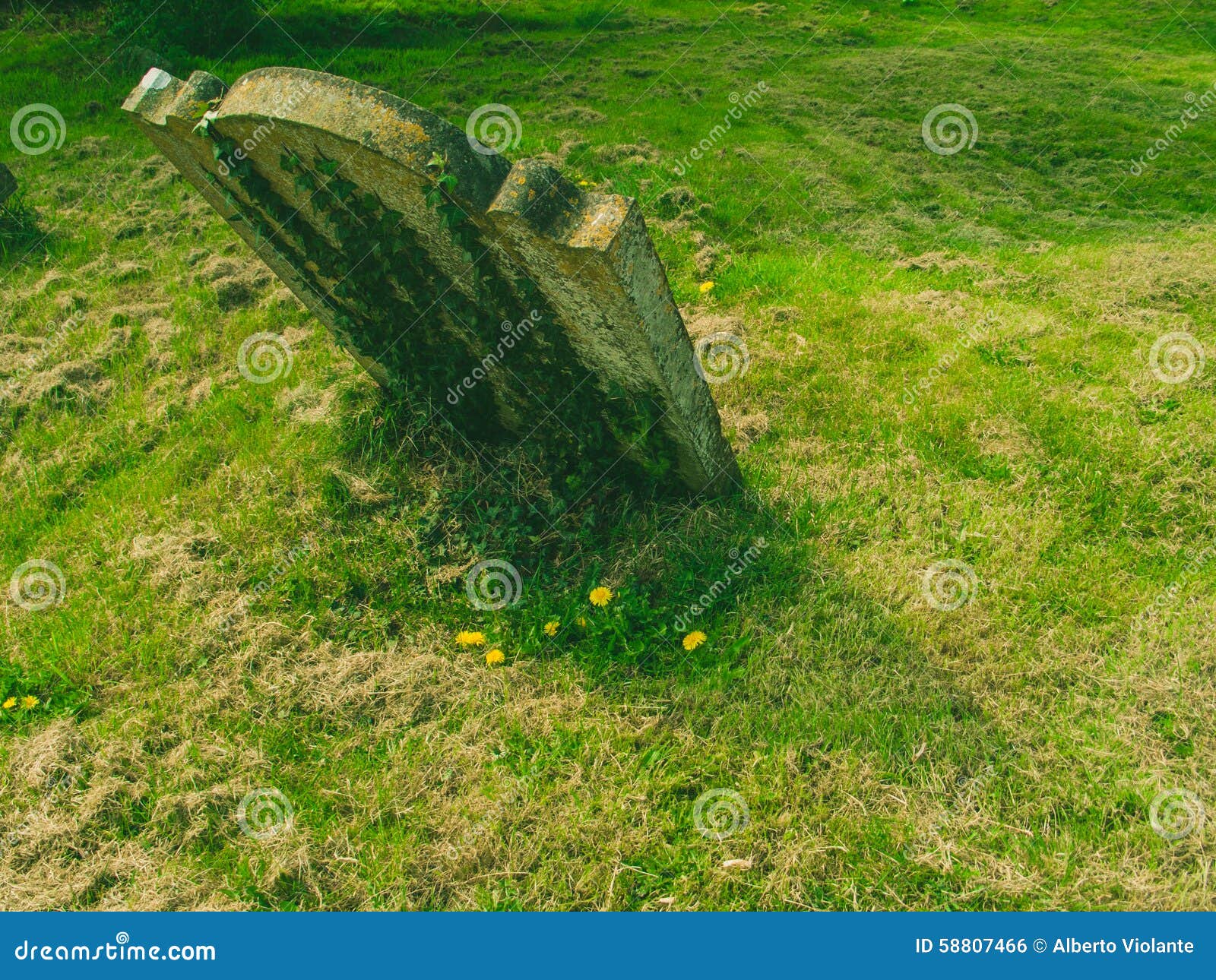 Grave in a green field stock photo. Image of freshness - 58807466