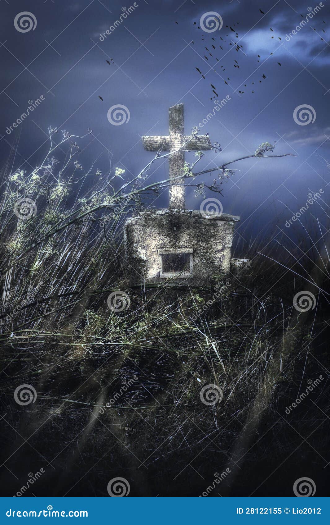 Grave in the mist stock image. Image of horror, haunted - 28122155