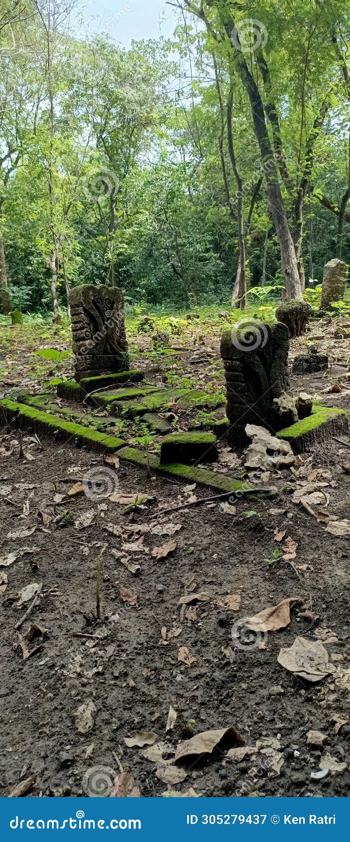 Grave a Mysterious Message in the World Stock Image - Image of world ...