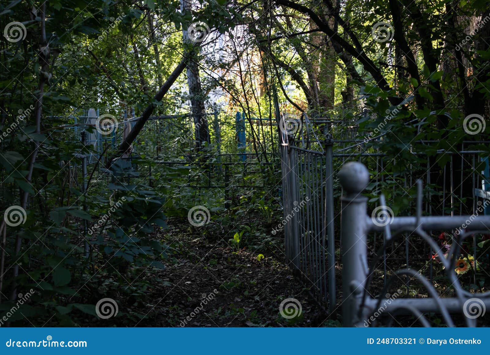 Grave in the Old Cemetery Overgrown with Tall Grass Stock Image - Image ...