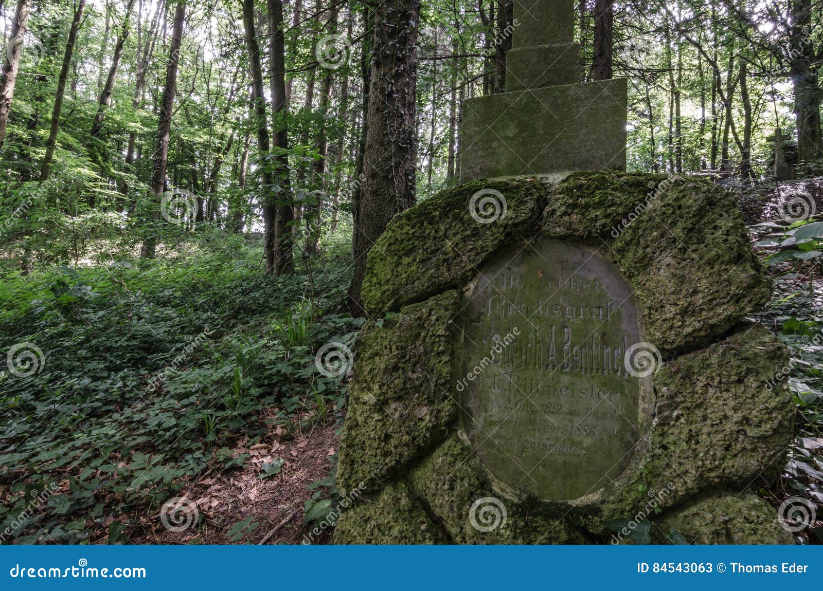 Grave with Scripture in Forest Stock Image - Image of background ...