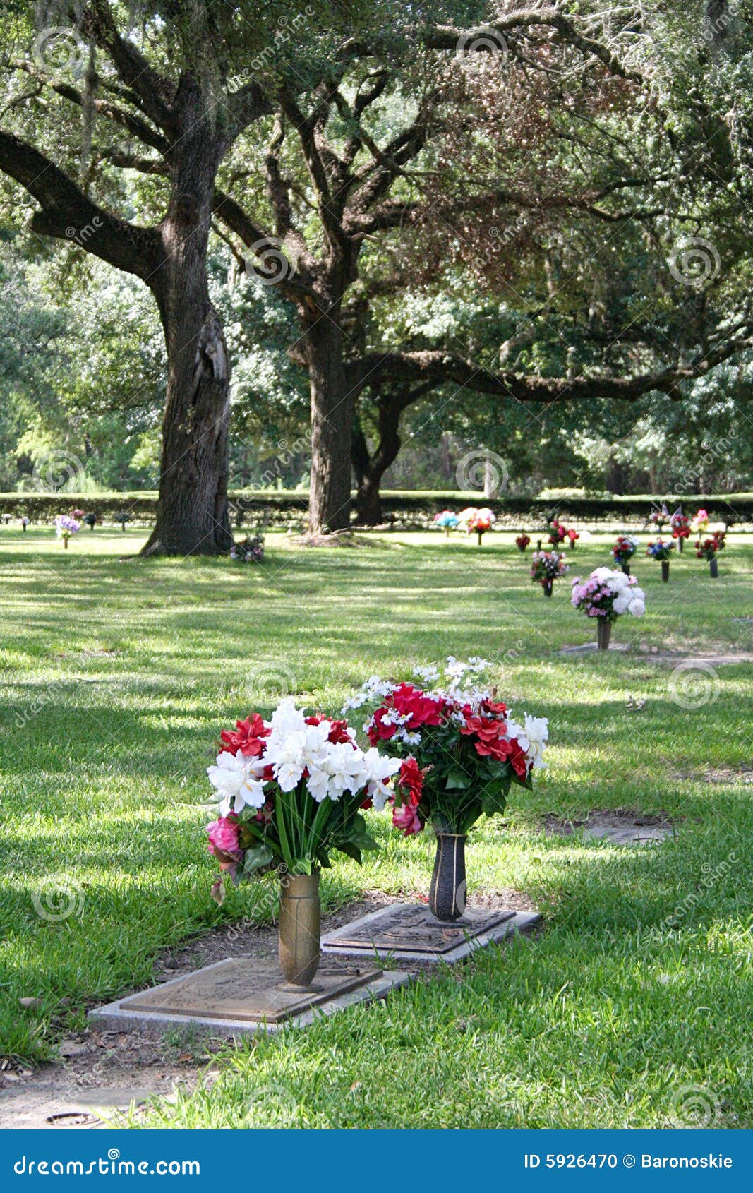 Grave Site stock photo. Image of trees, grave, shade, headstones - 5926470