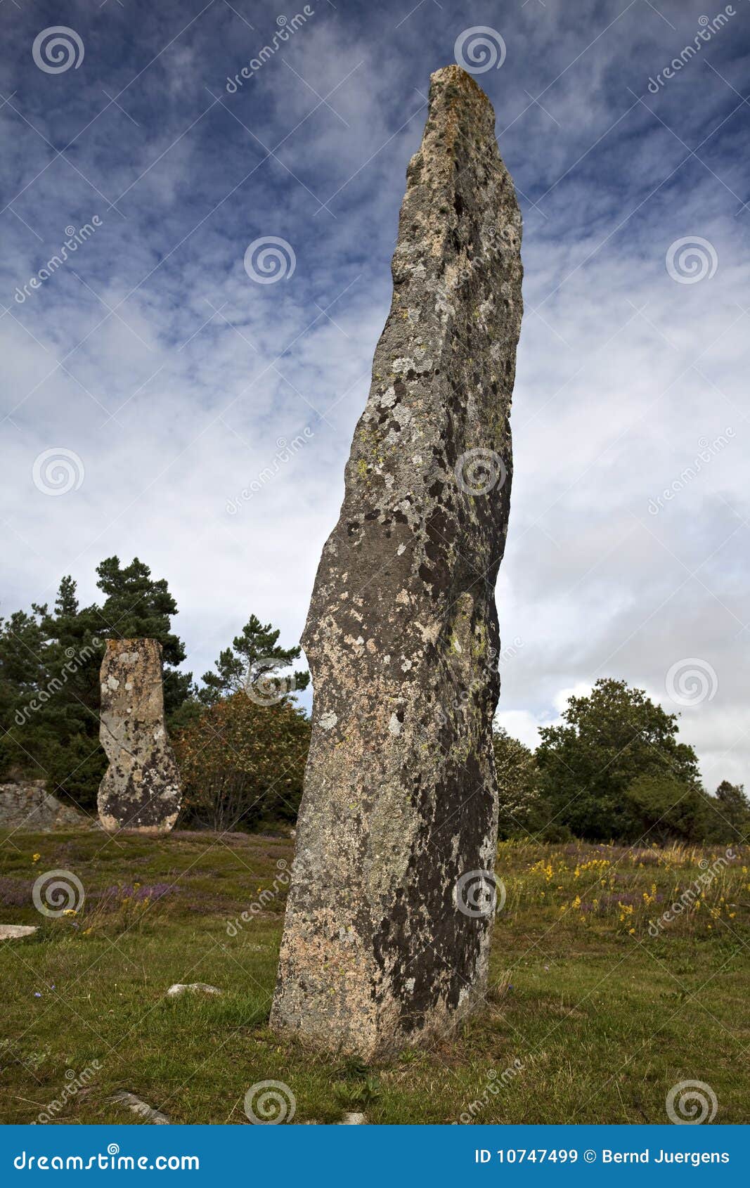 Grave stone stock image. Image of grass, field, gravefield - 10747499