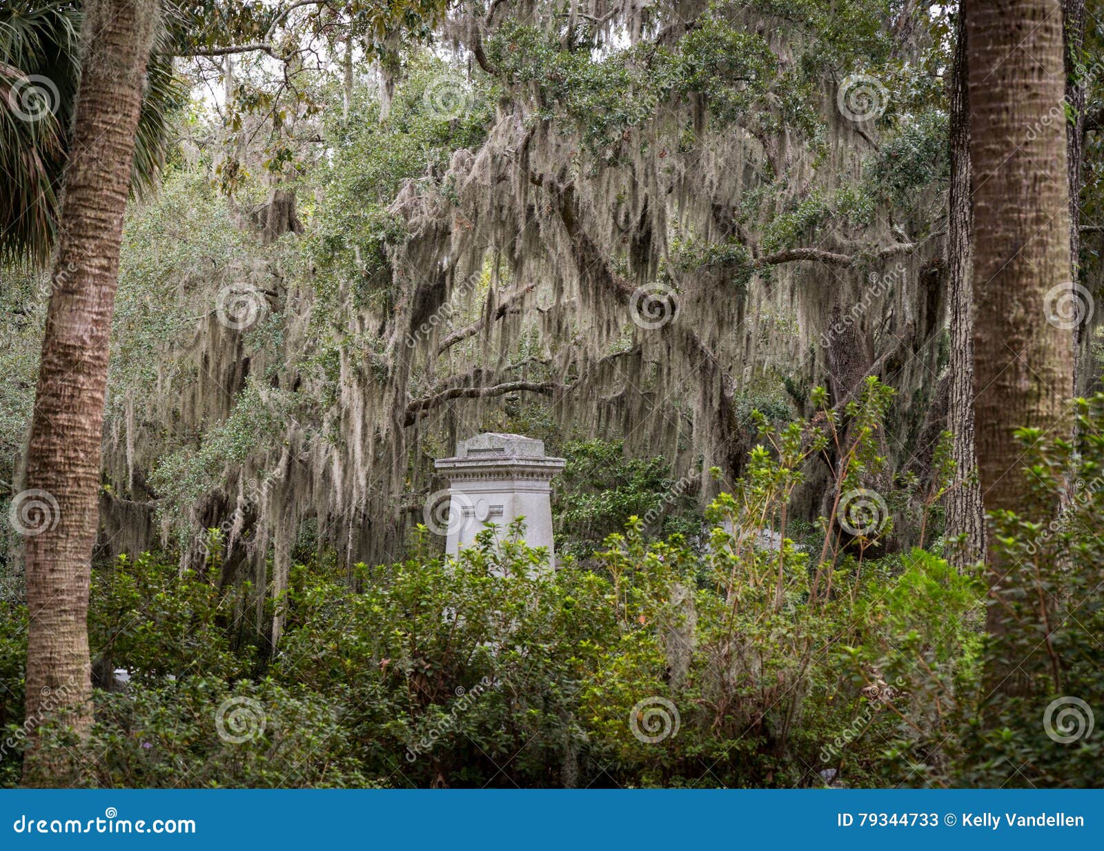Grave Stone and Spanish Moss Stock Image - Image of moss, architecture ...