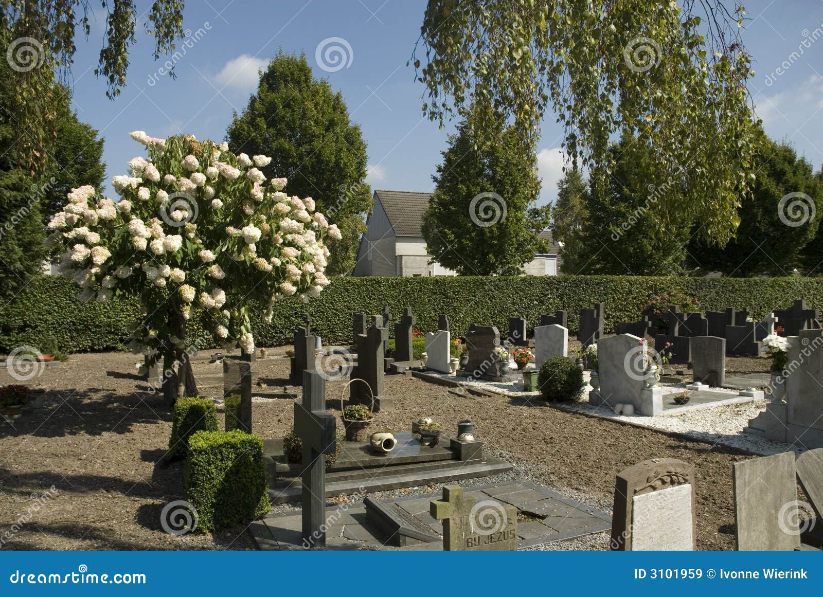Grave-yard stock image. Image of yard, rest, catholic - 3101959