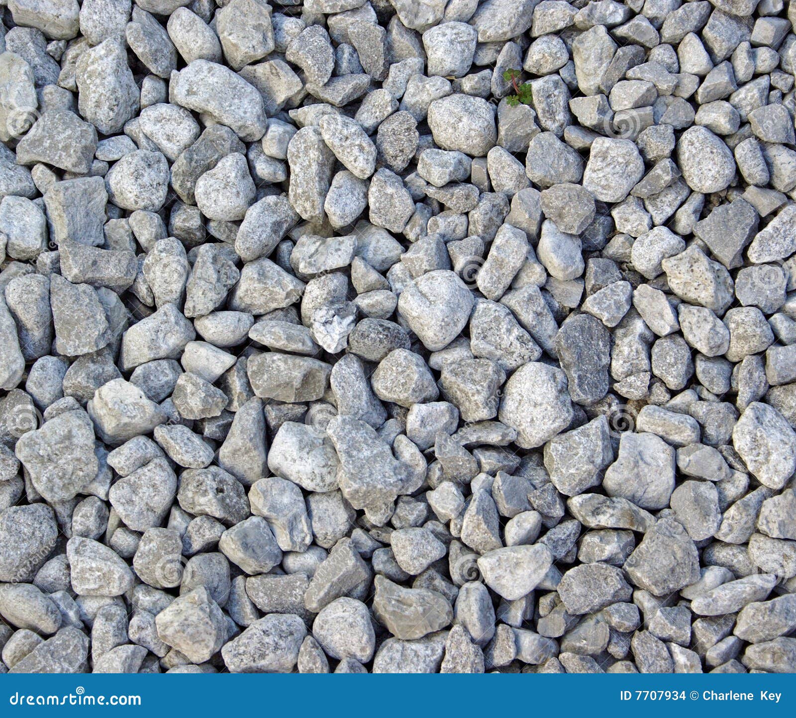 Gravel stock photo. Image of material, nature, backdrop - 7707934