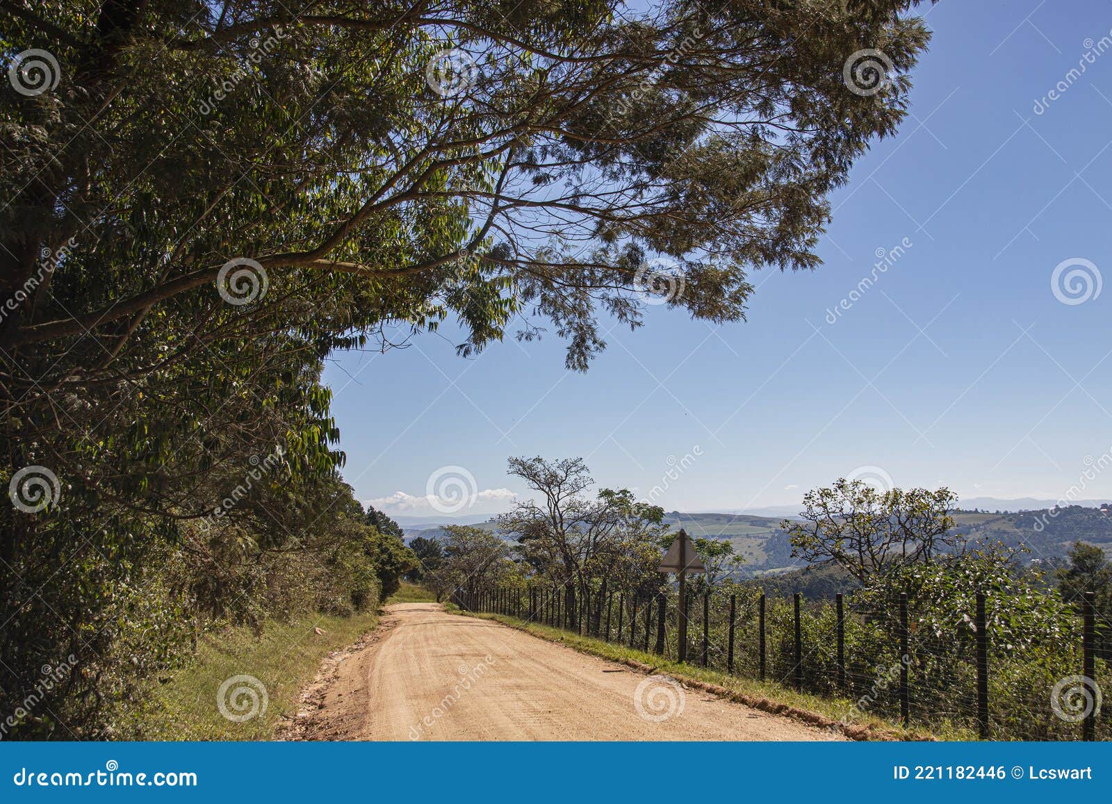 Gravel Dirt Road Bordered by Green Trees Stock Photo - Image of border ...