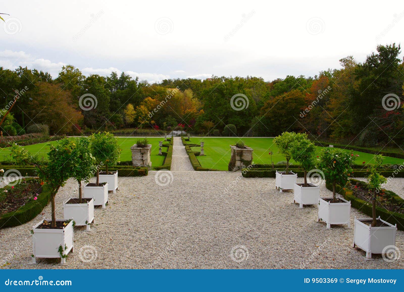 Gravel foot-path stock image. Image of extensive, bush - 9503369