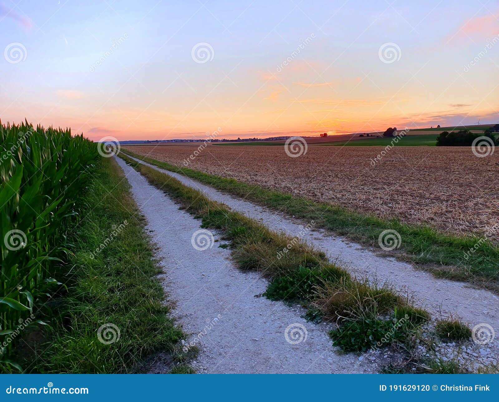 Gravel Path within Fields Leading into the Sunset Stock Photo - Image ...