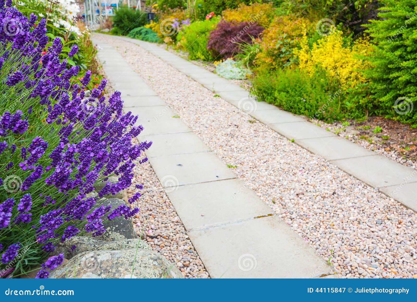 Gravel Pathway With Trees Royalty-Free Stock Photo | CartoonDealer.com ...