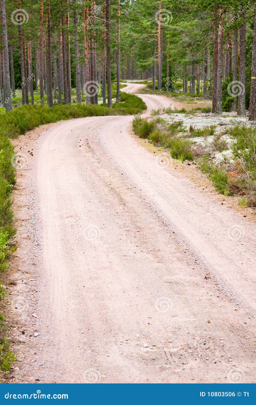 Gravel road stock photo. Image of beauty, scenery, boreal - 10803506