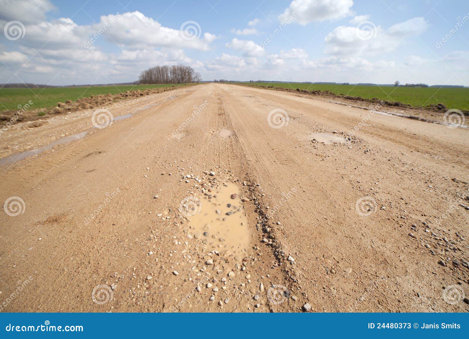 Gravel road. stock image. Image of path, green, tree - 24480373