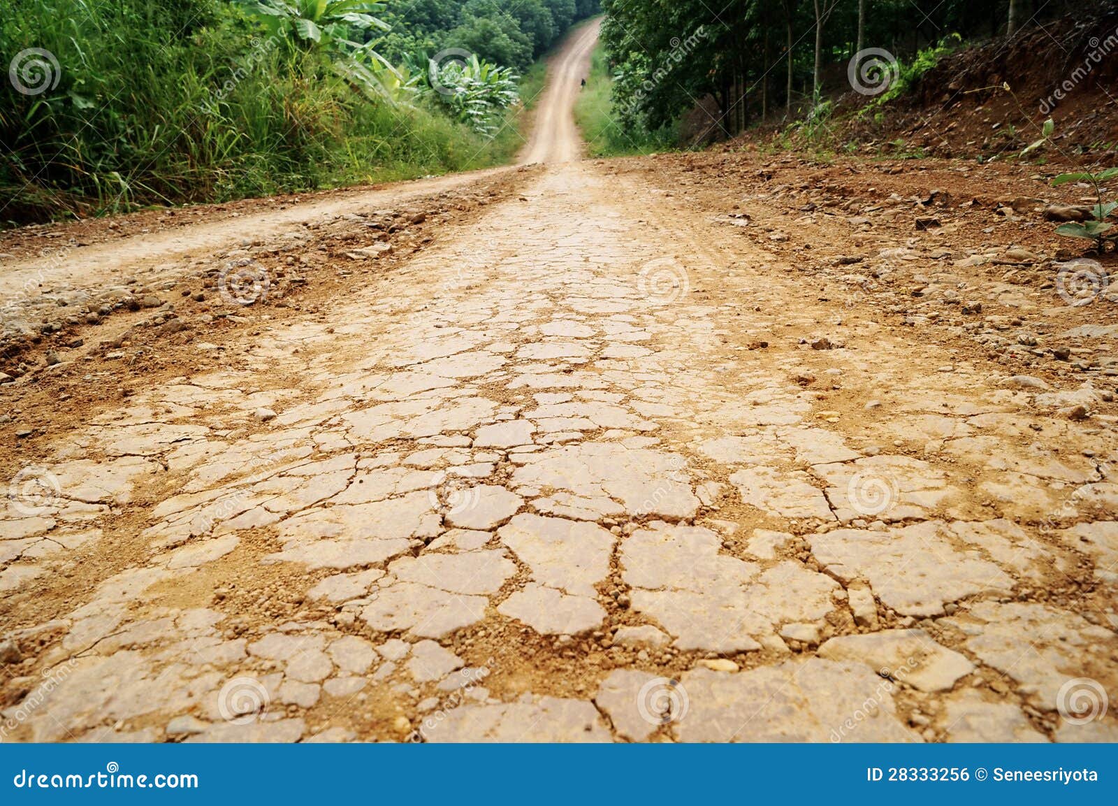 Gravel road stock photo. Image of landscape, thailand - 28333256