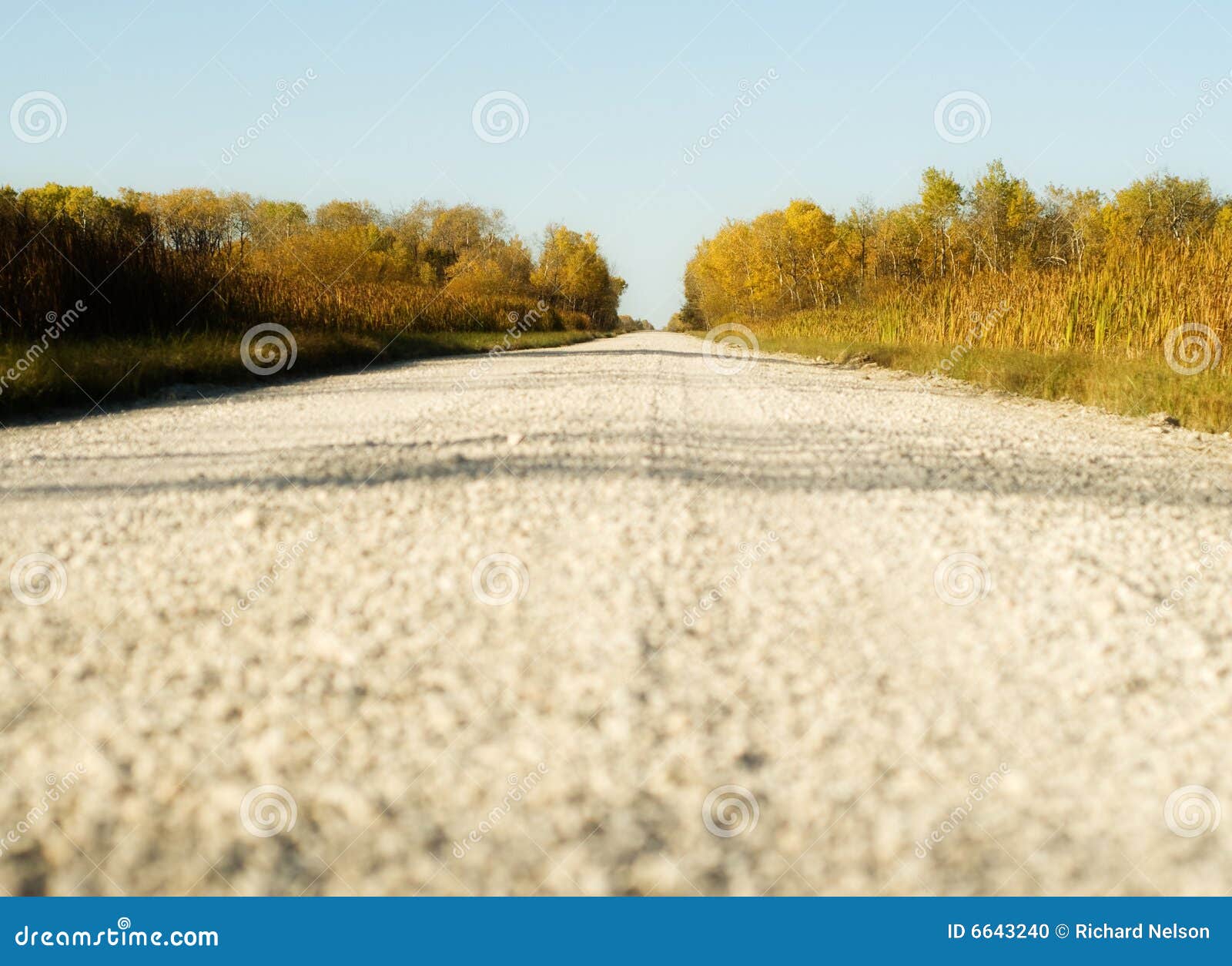 626 Dirt Road Low Angle Photos - Free & Royalty-Free Stock Photos from ...