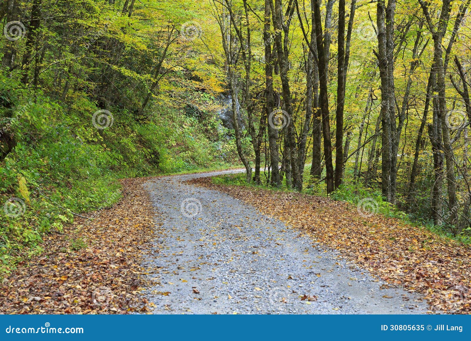 Gravel Road in Autumn stock image. Image of dirt, roadway - 30805635