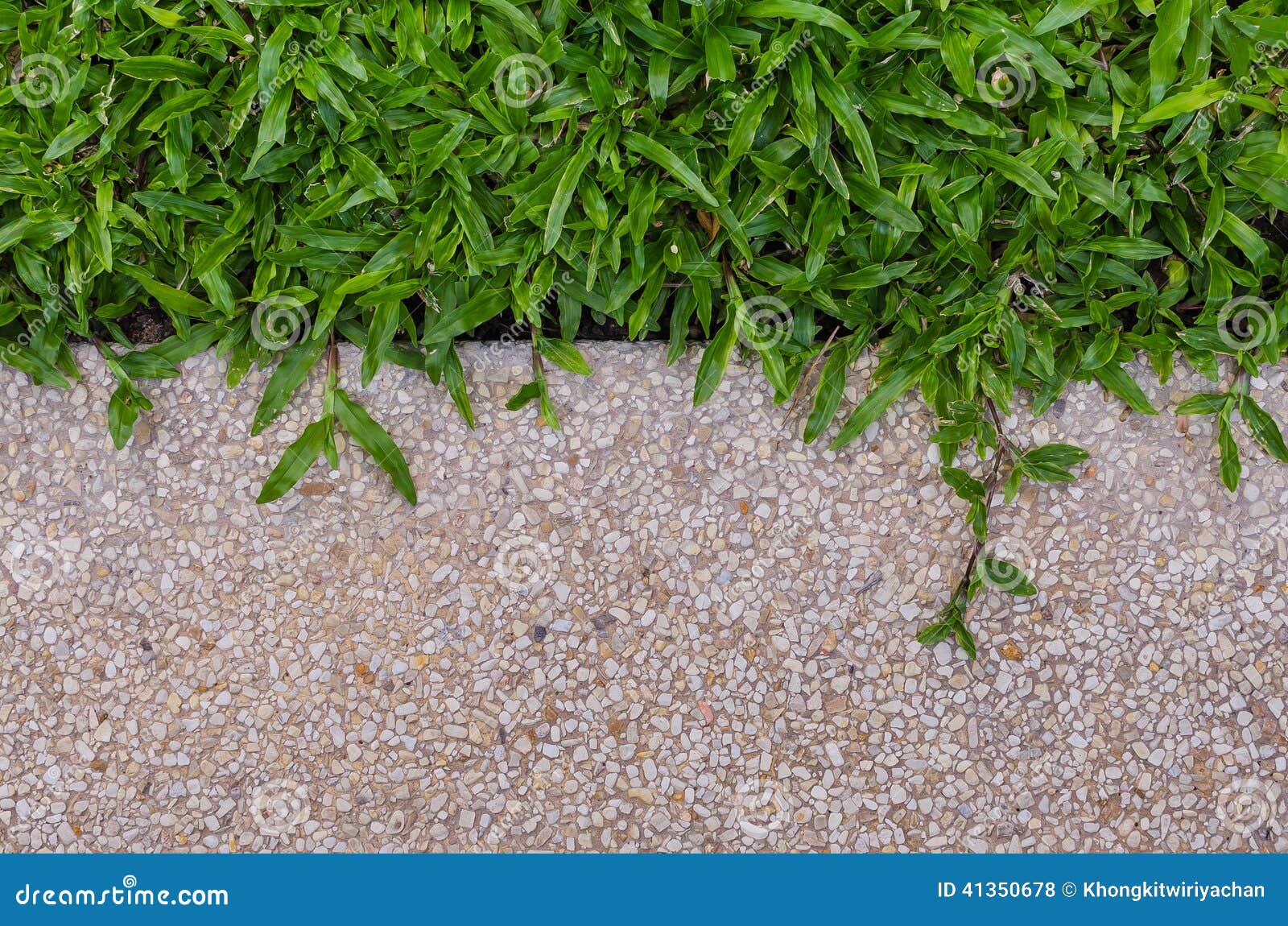 Gravel Texture and Grass for Background Stock Photo - Image of decorate ...