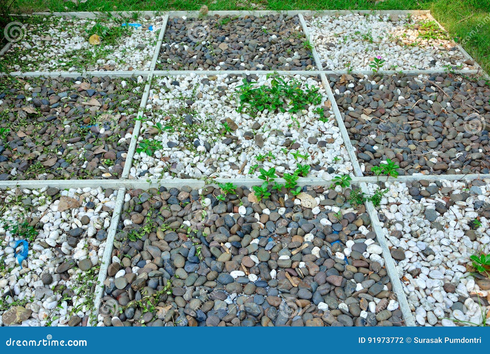 Gravel Texture Path in Garden. Stock Photo - Image of color, object ...