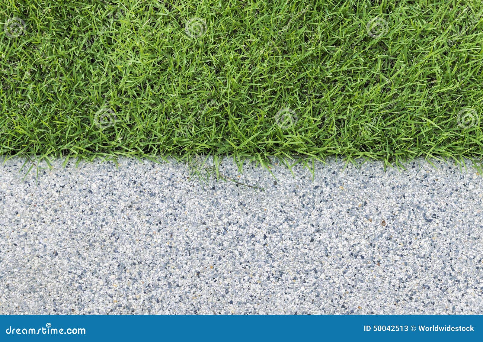 Strip Of Grass Stock Photography | CartoonDealer.com #10992986