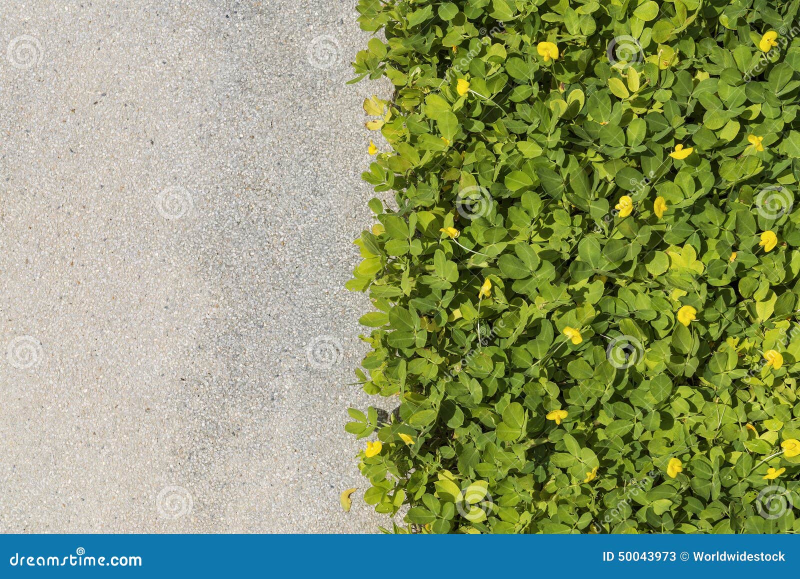 Gravel Texture and Strip Grass Stock Image - Image of design, pattern ...