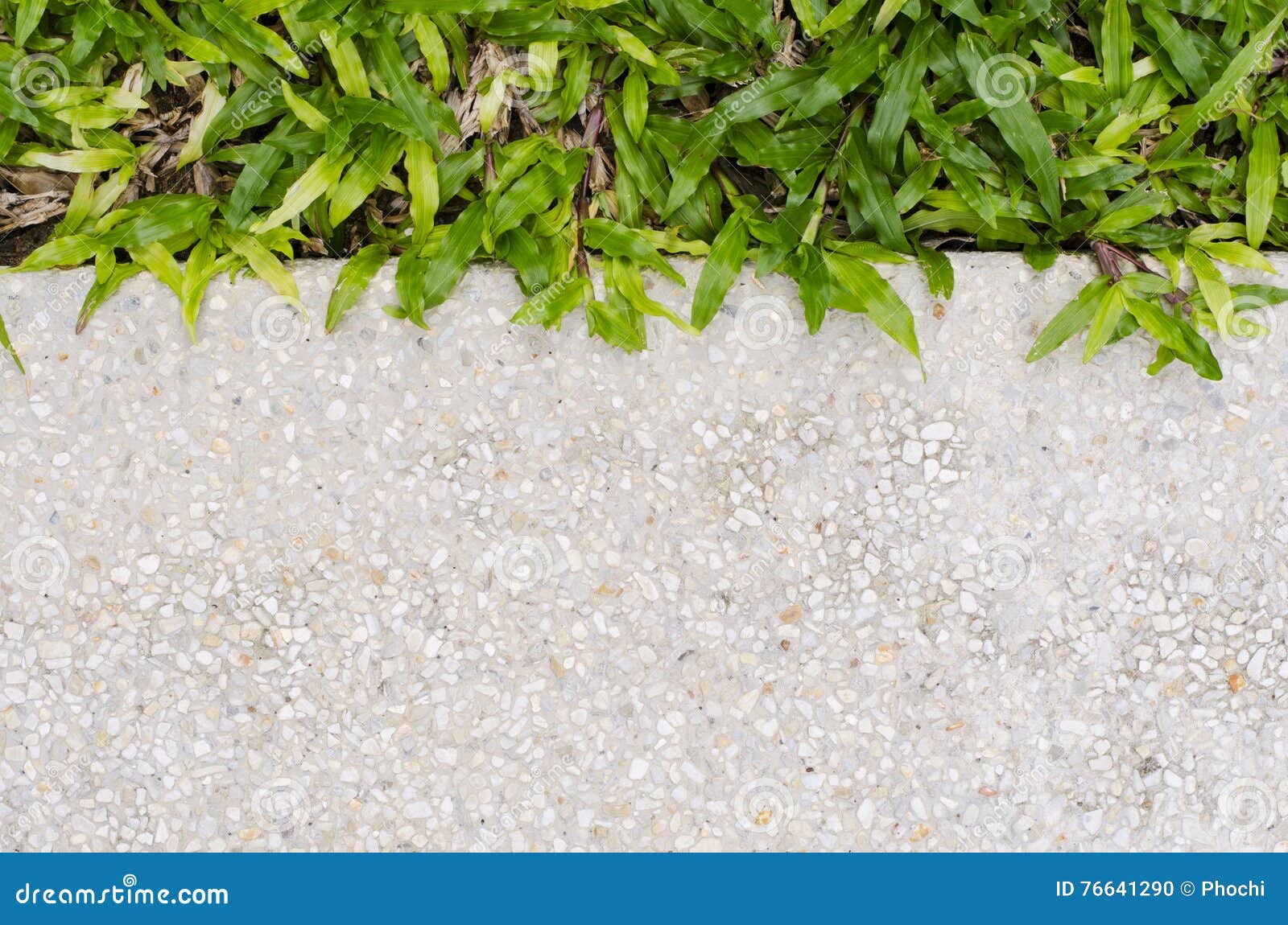 Gravel Texture and Strip Grass As Background Stock Photo - Image of ...