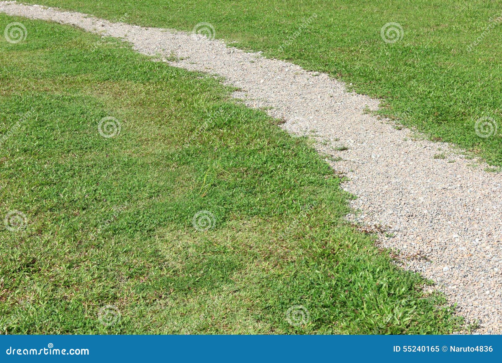 A Gravel Walking Path With A Dog Walking Down With Beautiful Trees And ...