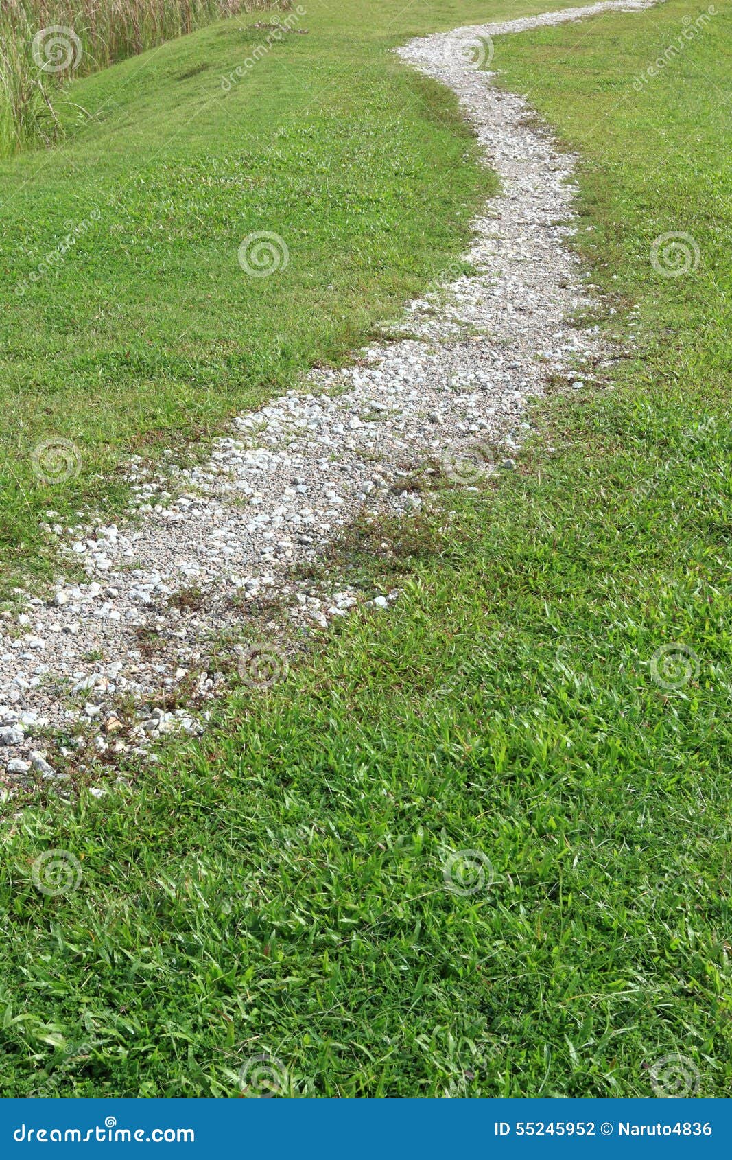 Gravel Walking Path Into California Wilderness Royalty-Free Stock Image ...