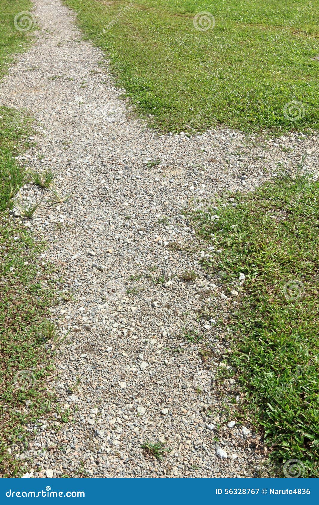 Gravel Walking Path Into California Wilderness Royalty-Free Stock Image ...