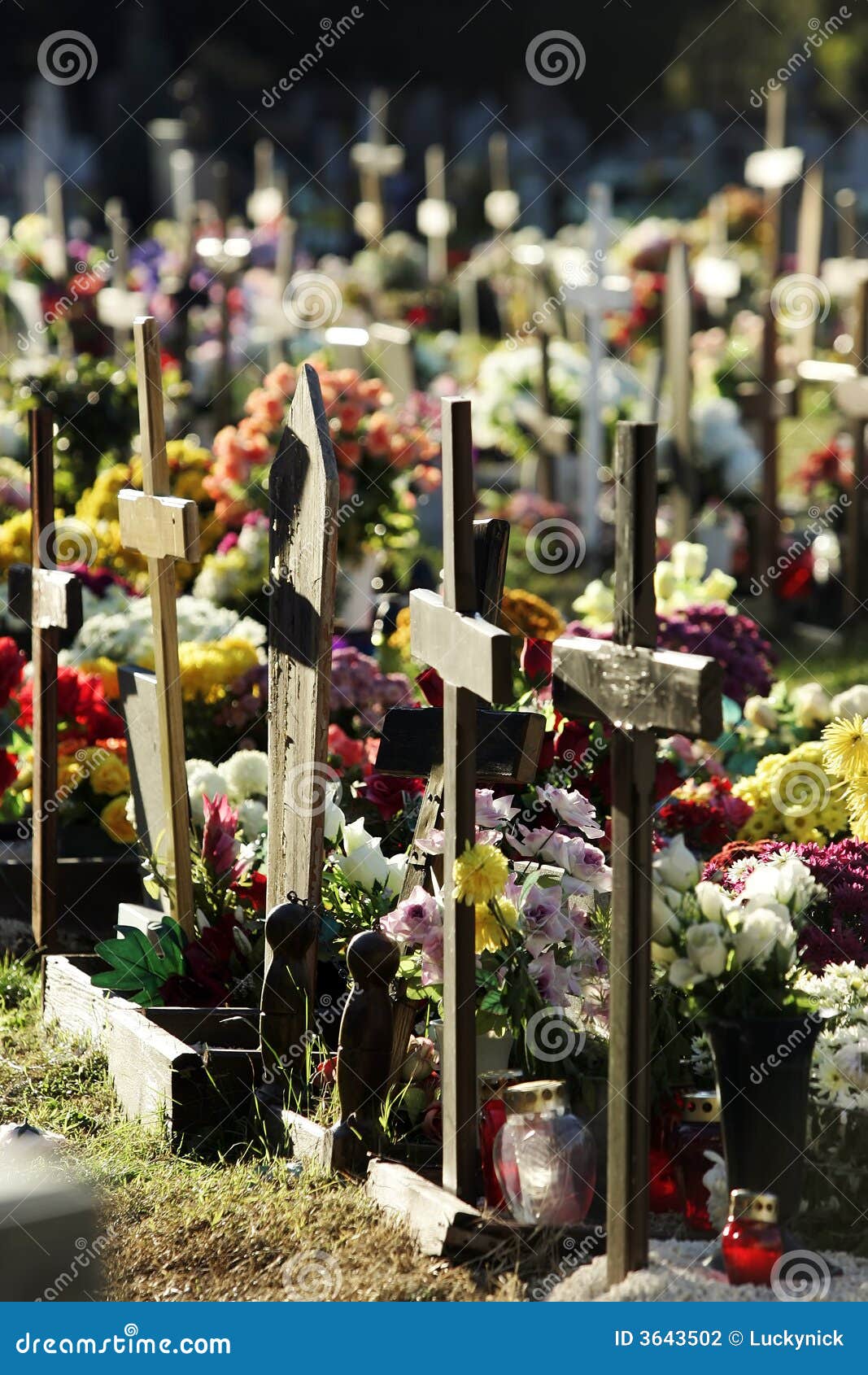 Graves stock photo. Image of tombstone, gravestone, headstone - 3643502