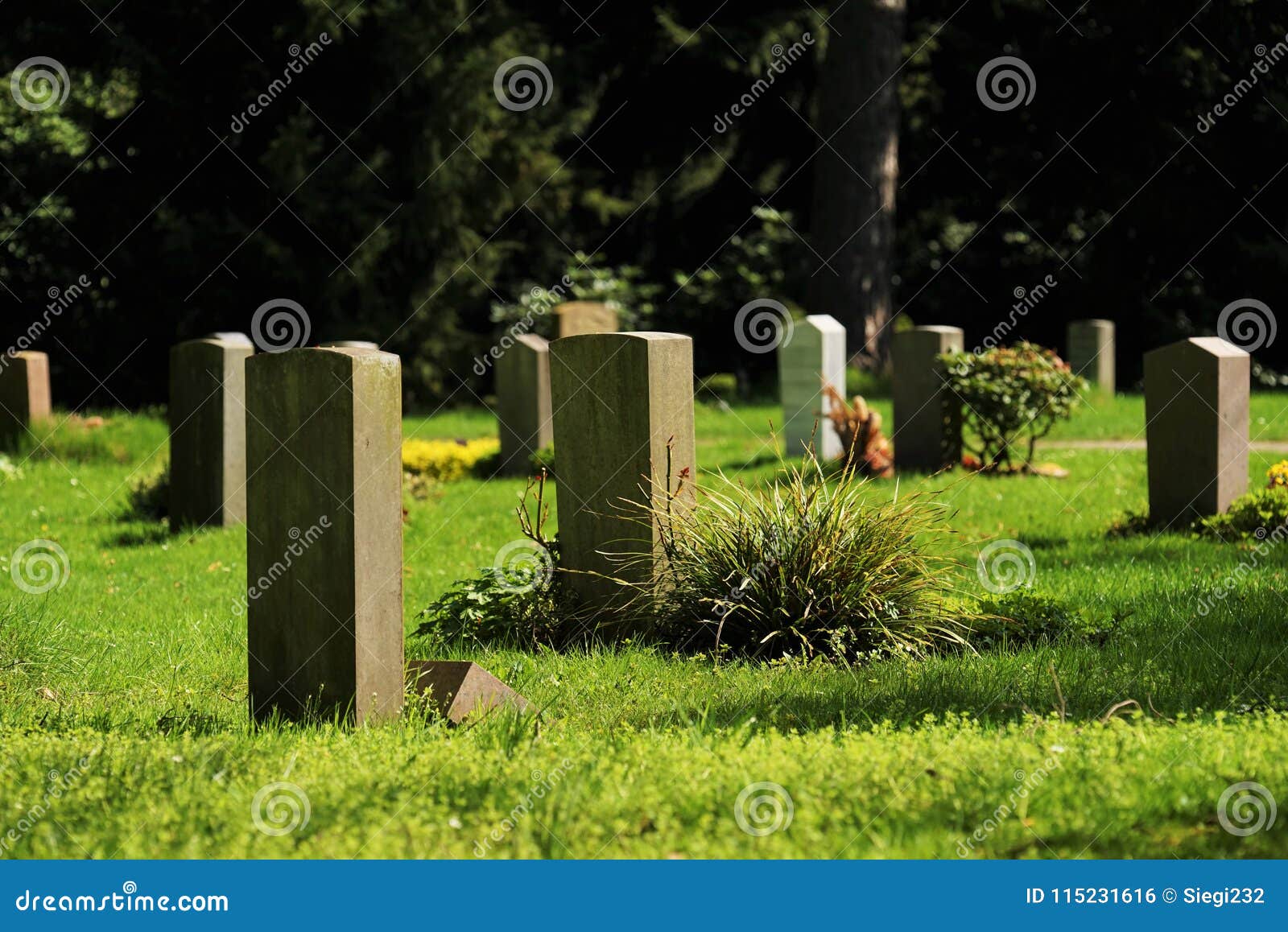 Graves on a cemetery stock photo. Image of memorial - 115231616