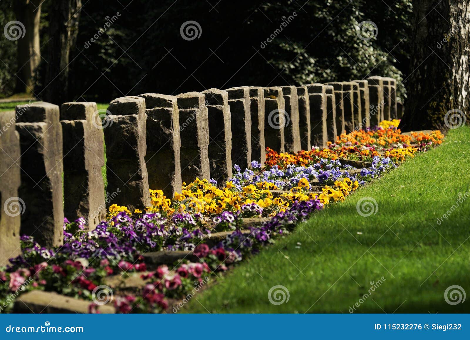 Graves on a cemetery stock photo. Image of religion - 115232276