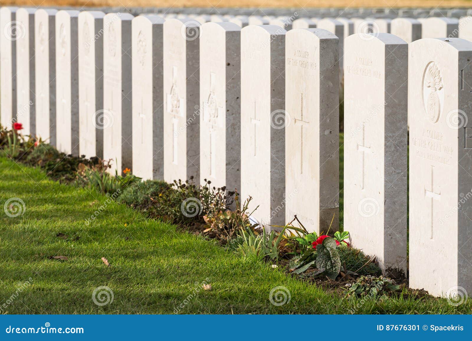 Graves in Flanders Fields editorial photo. Image of remembrance - 87676301