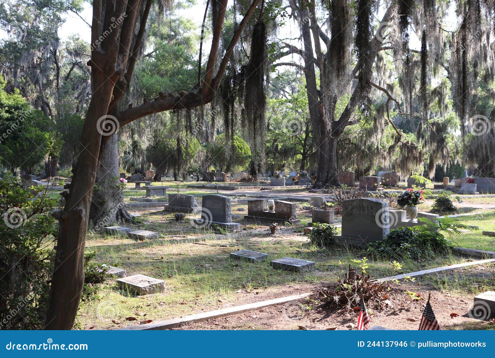 Graves in Cemetery Under Trees with Moss Editorial Photo - Image of ...