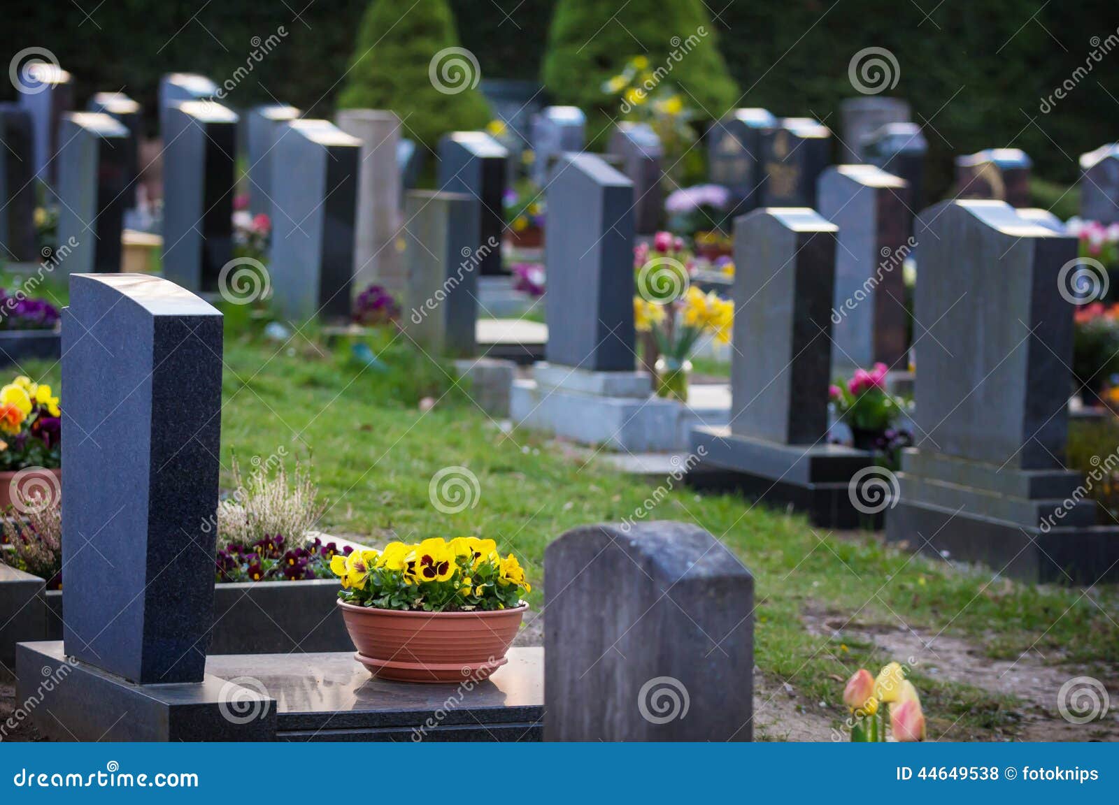 Graves in spring stock photo. Image of decorations, resting - 44649538