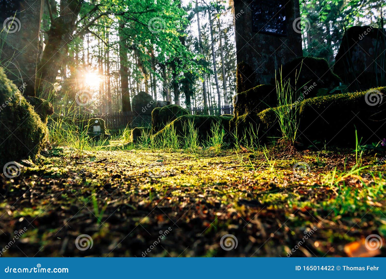 Gravestones of an Old Cemetry Stock Photo - Image of grave, life: 165014422