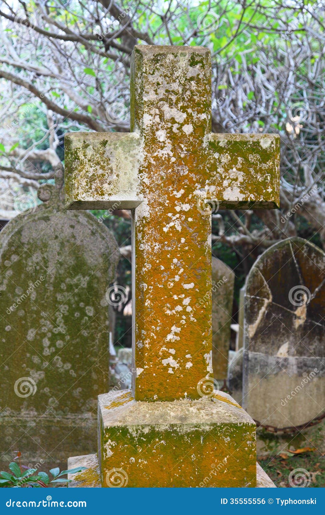 Graveyard Cross stock photo. Image of religion, tomb - 35555556