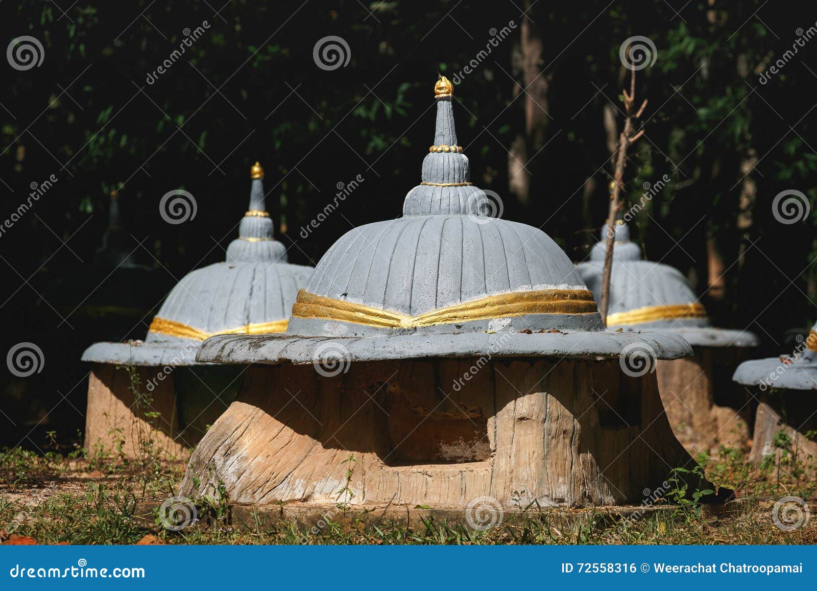 Graveyard of Elephant stock photo. Image of gray, cement - 72558316