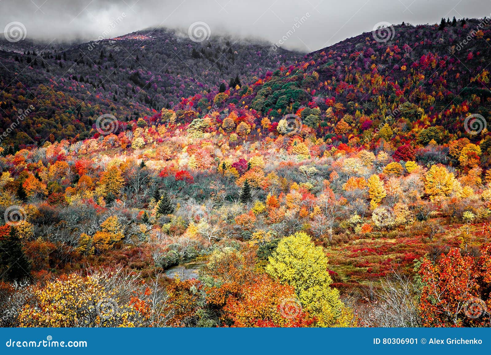 Graveyard Fields on the Blue Ridge Parkway in Autumn Stock Image ...