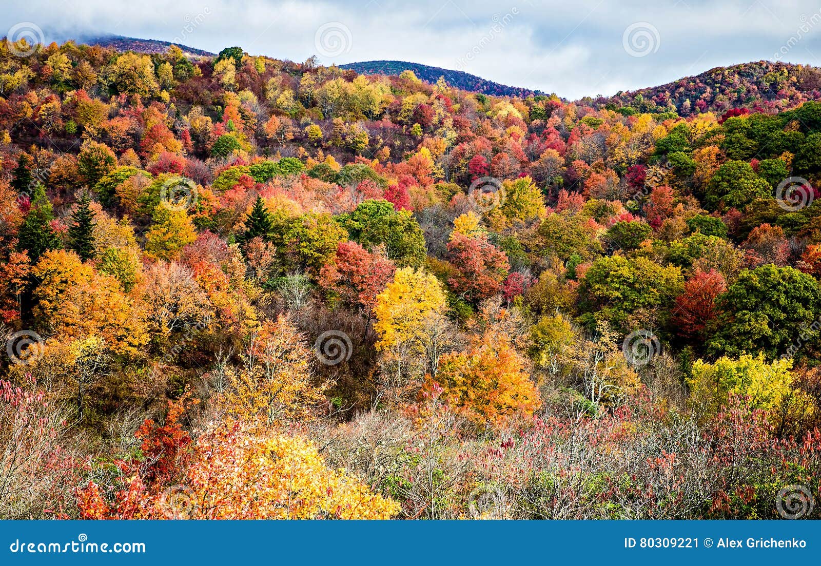 Graveyard Fields on the Blue Ridge Parkway in Autumn Stock Image ...