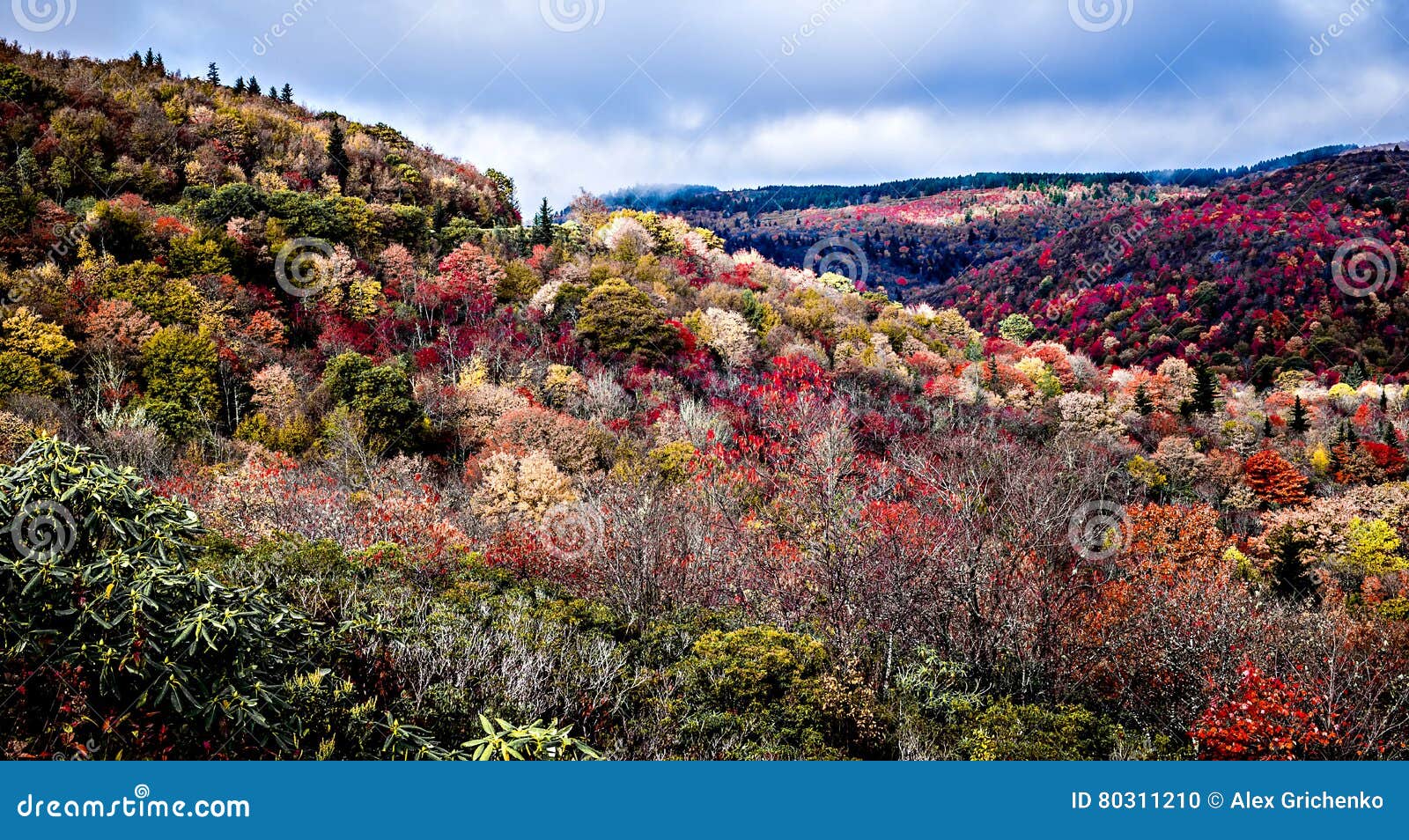 Graveyard Fields on the Blue Ridge Parkway in Autumn Stock Photo ...