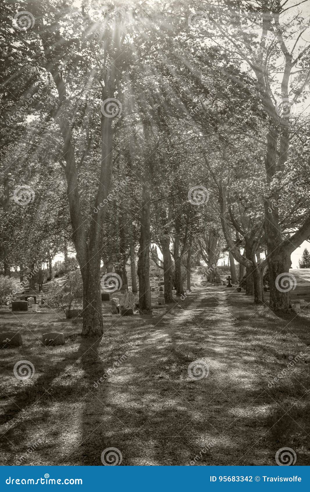 Graveyard God Light Shining through Trees in Cemetery Stock Photo ...