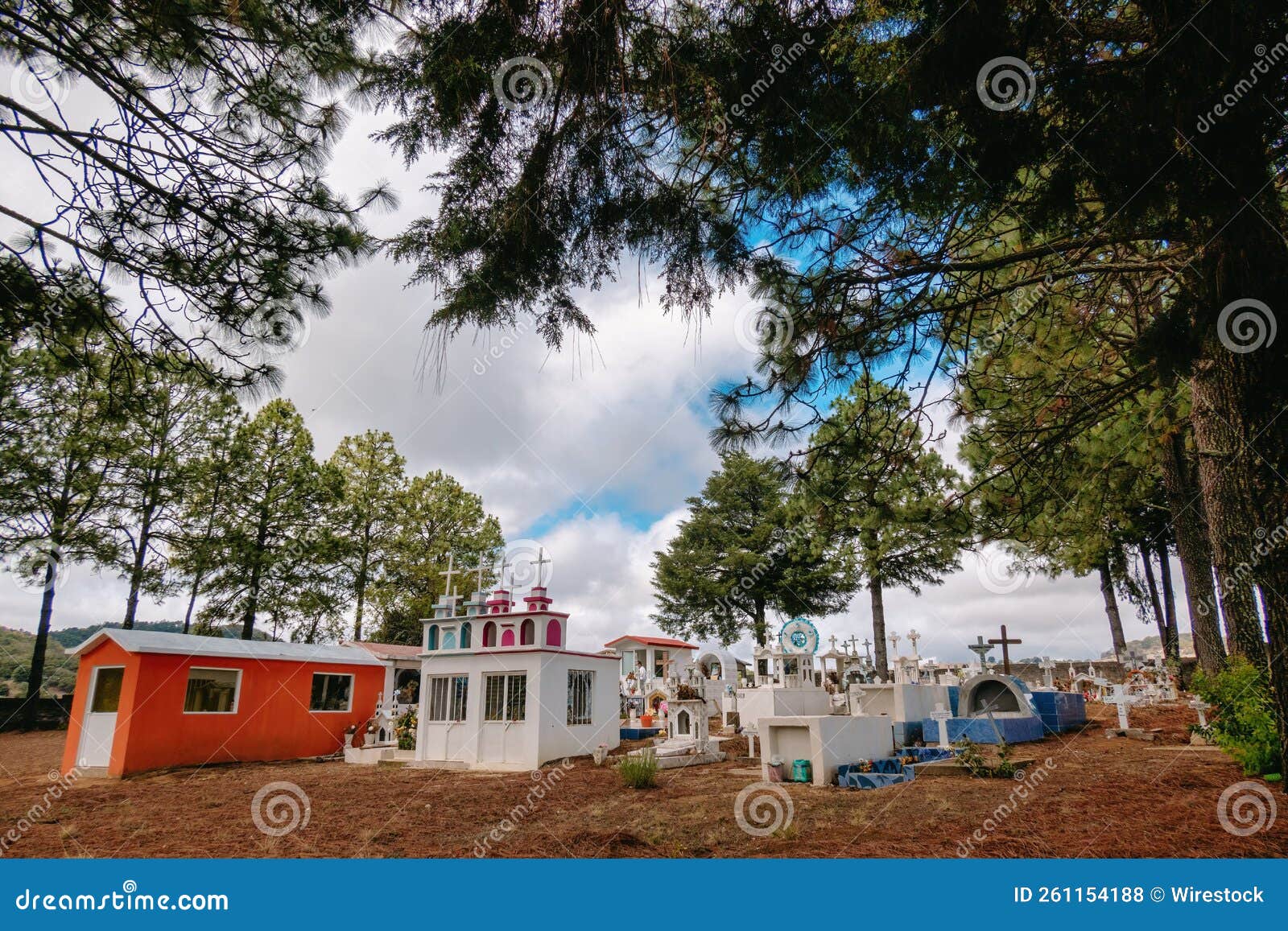 Graveyard with Longleaf Pine Trees and White Headstones Against the ...