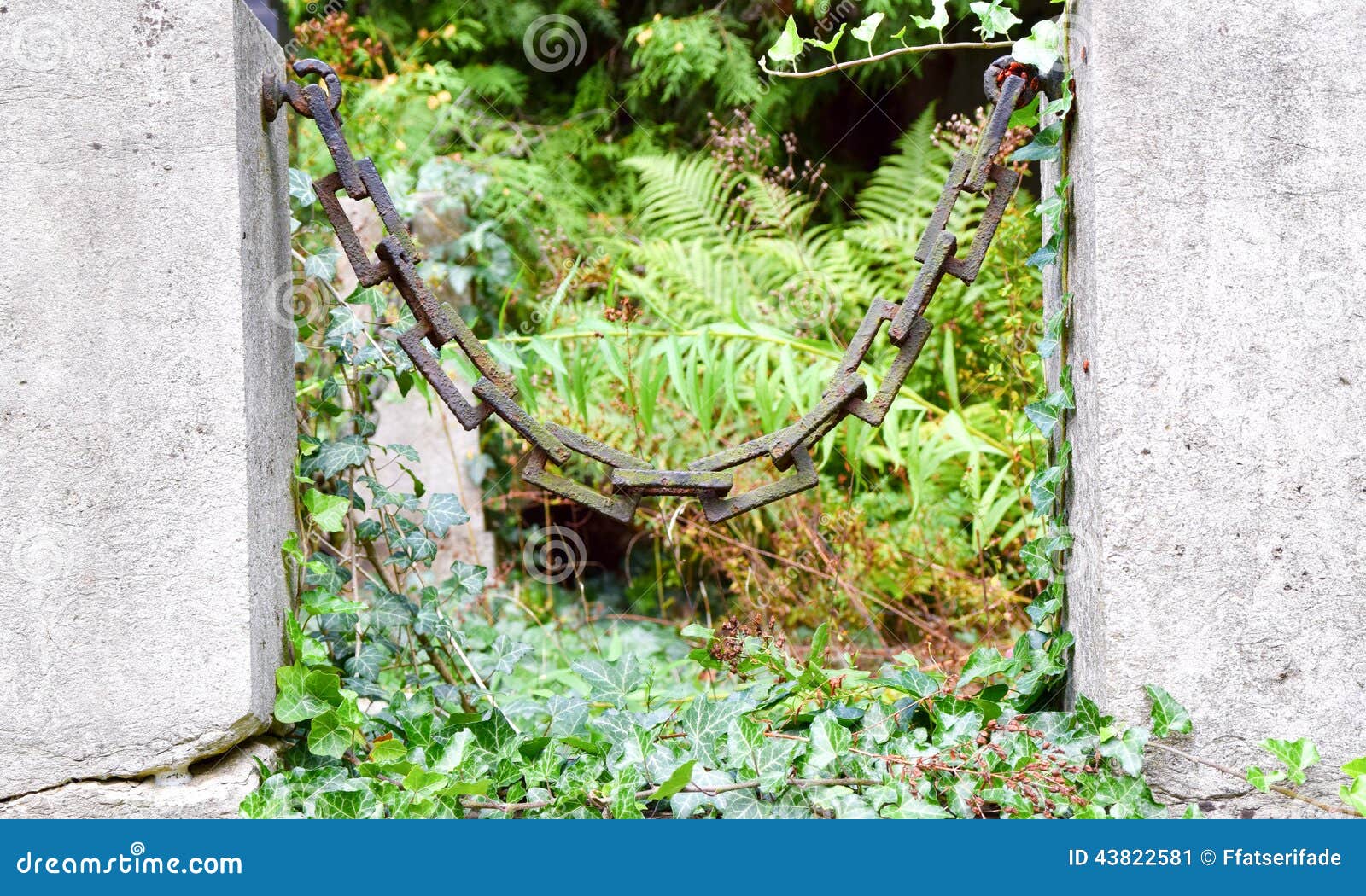 An Overgrown Tomb Chapel, A Chapel In The Cemetery And A Large Amount ...