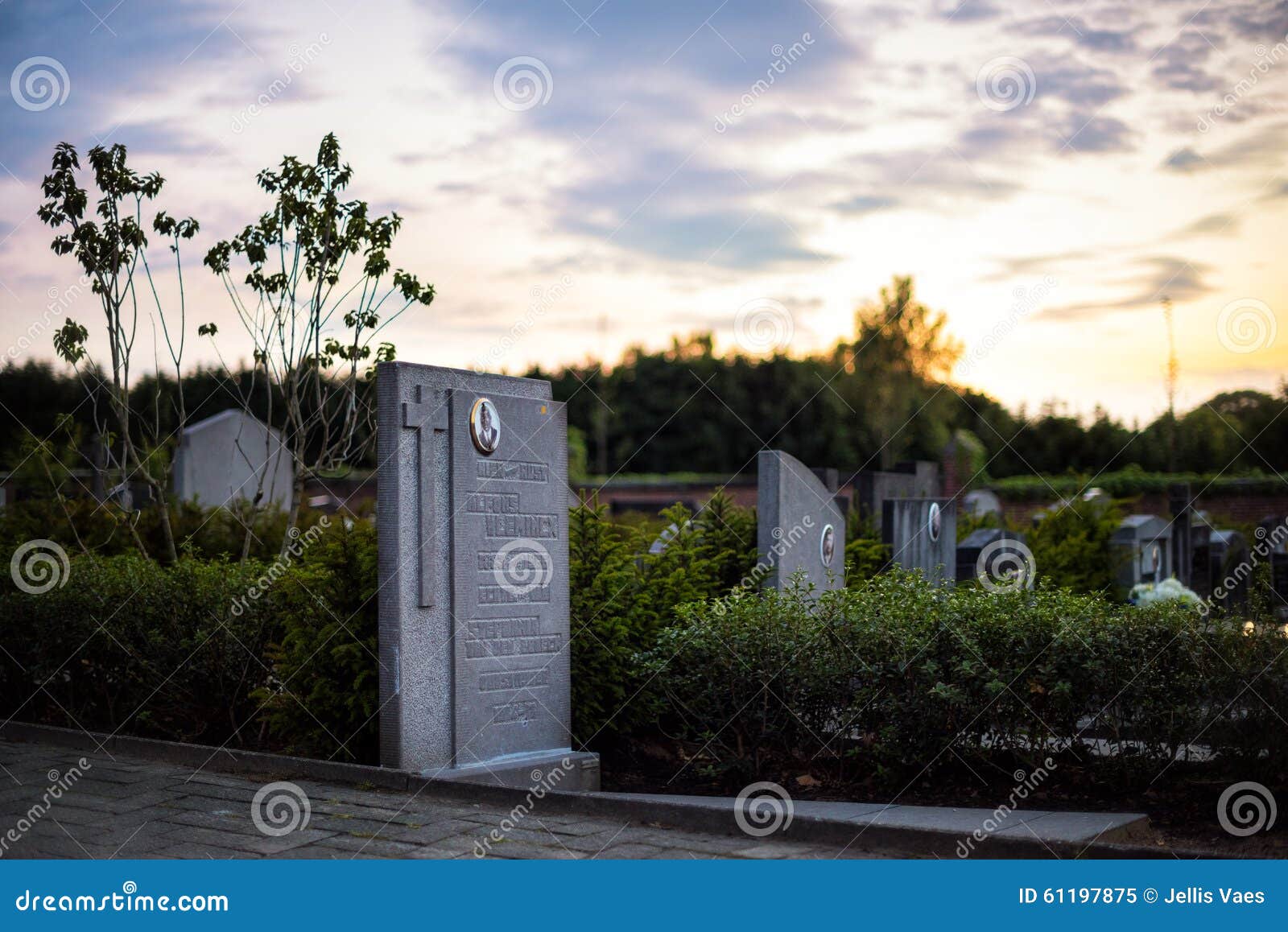 The Graveyard editorial image. Image of live, sunset - 61197875