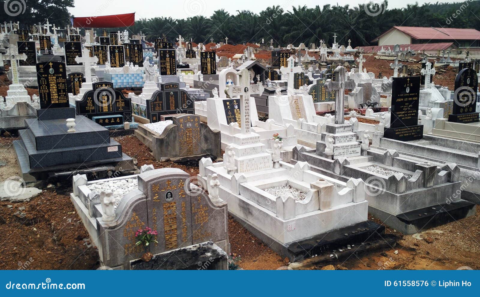 Graveyard editorial photo. Image of family, full, cadaver - 61558576